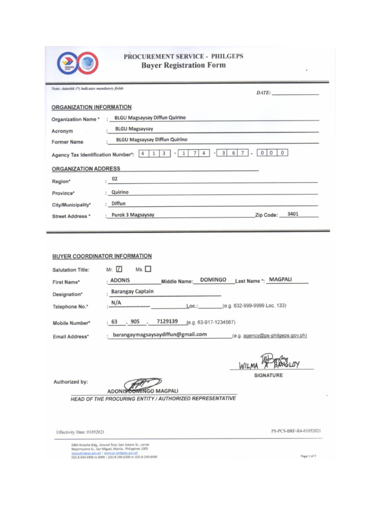 Application For PHILGEPS Magsaysay Diffun Quirino | PDF