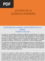 Histologia, Paaf y Células Mamarias | PDF | Epitelio | Biopsia