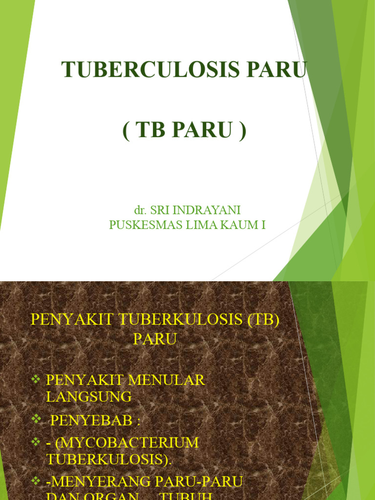PENYAKIT TUBERKULOSIS (TB) PARU Full | PDF