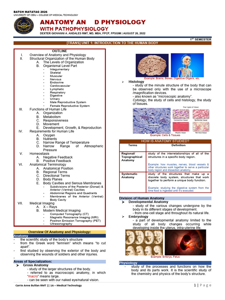 Transes For Anaphy | PDF | Anatomical Terms Of Motion | Human Body