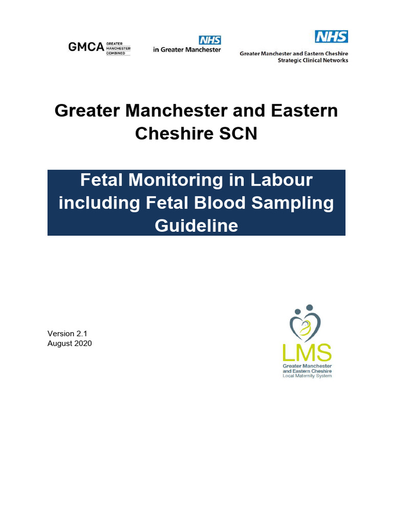 GMEC SCN Fetal Monitoring in Labour CTG Guideline FINAL V2.1 September ...