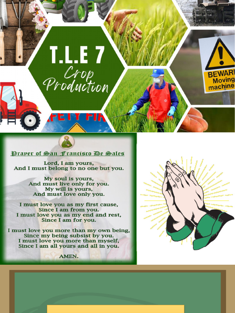 Lesson 1 Tle Seven Use of Farm Tools. | PDF | Plough | Tillage