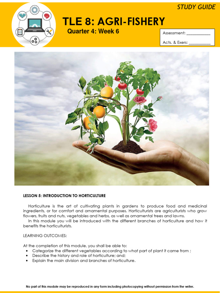 Lesson 5 | PDF | Horticulture | Vegetables