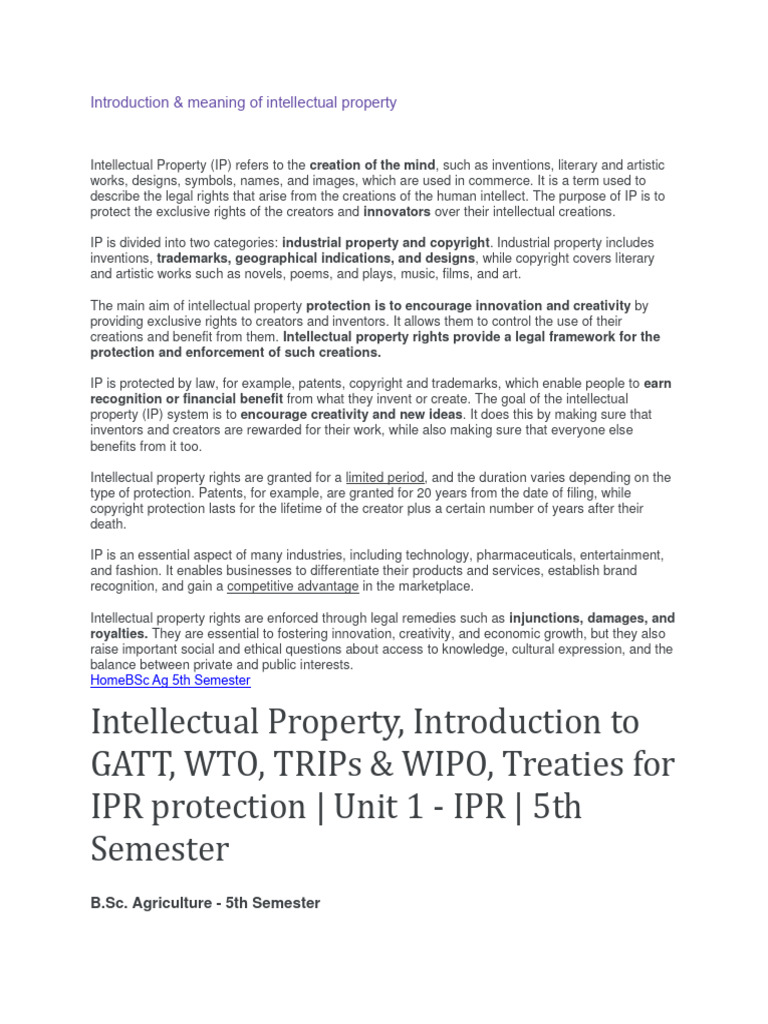 Intellectual Property Rights PDF Second Sem Ntes | PDF | Patent ...