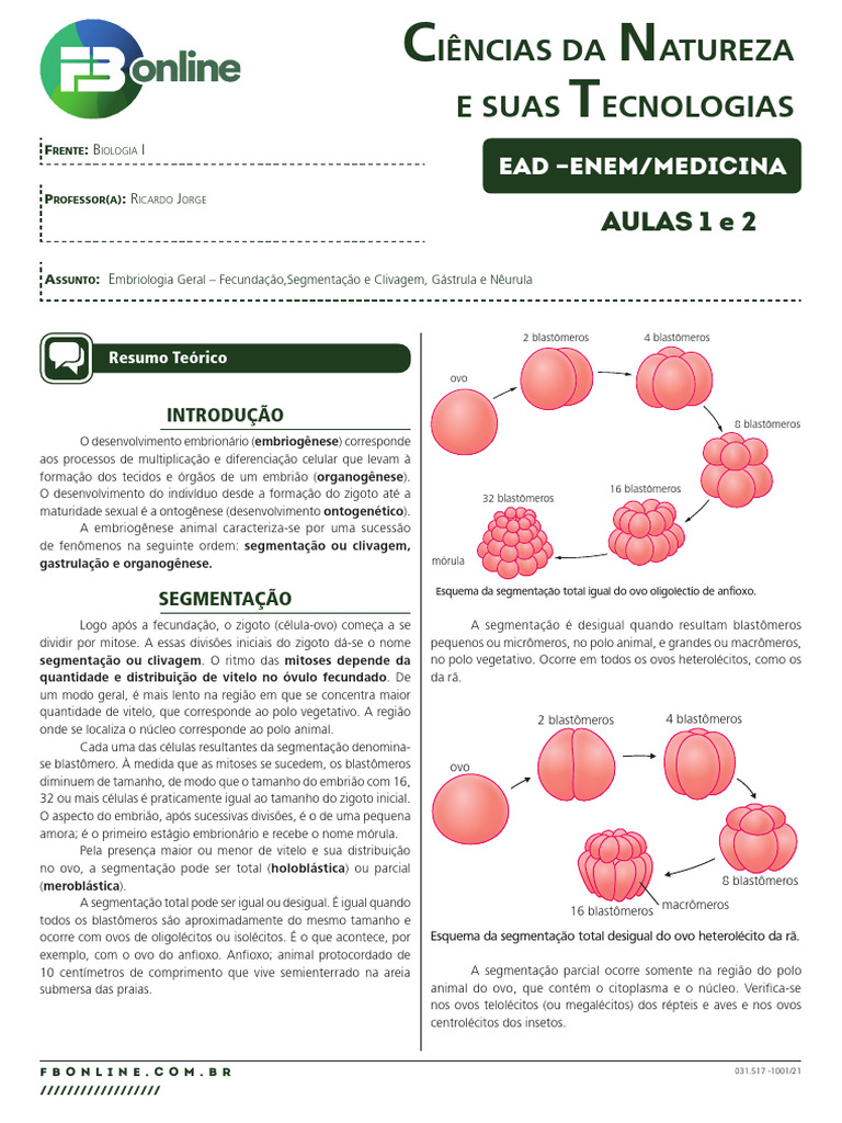 Embriologia Geral - Fecundação, Segmentação e Clivagem, Gástrula e ...