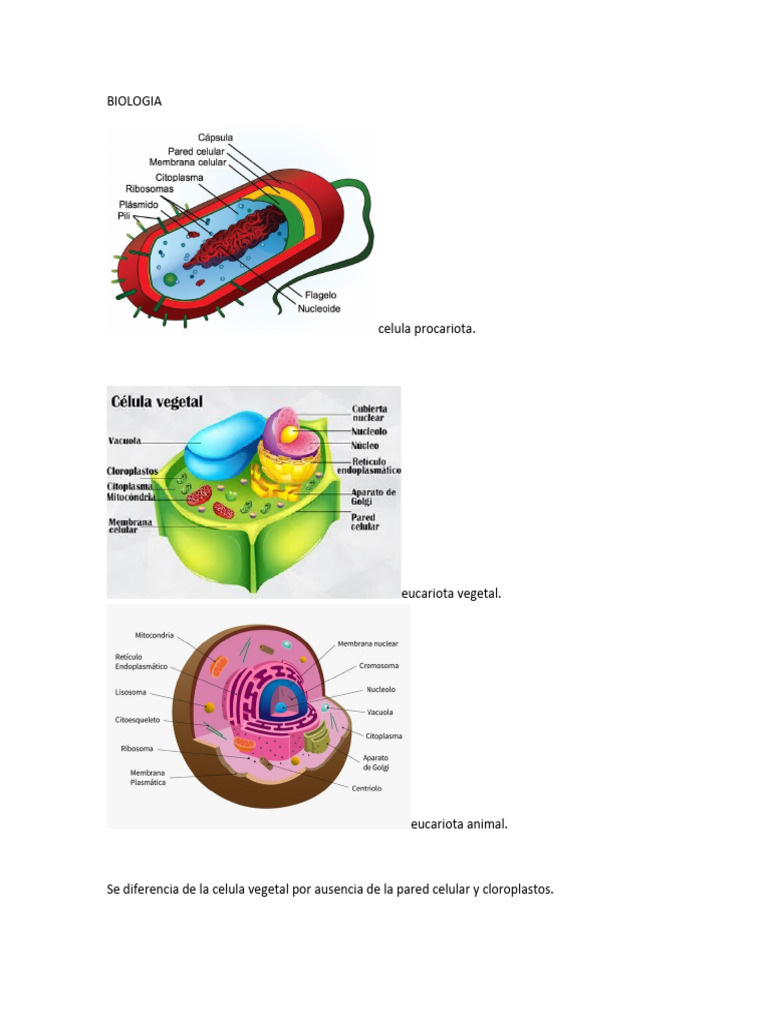 BIOLOGIA PDF