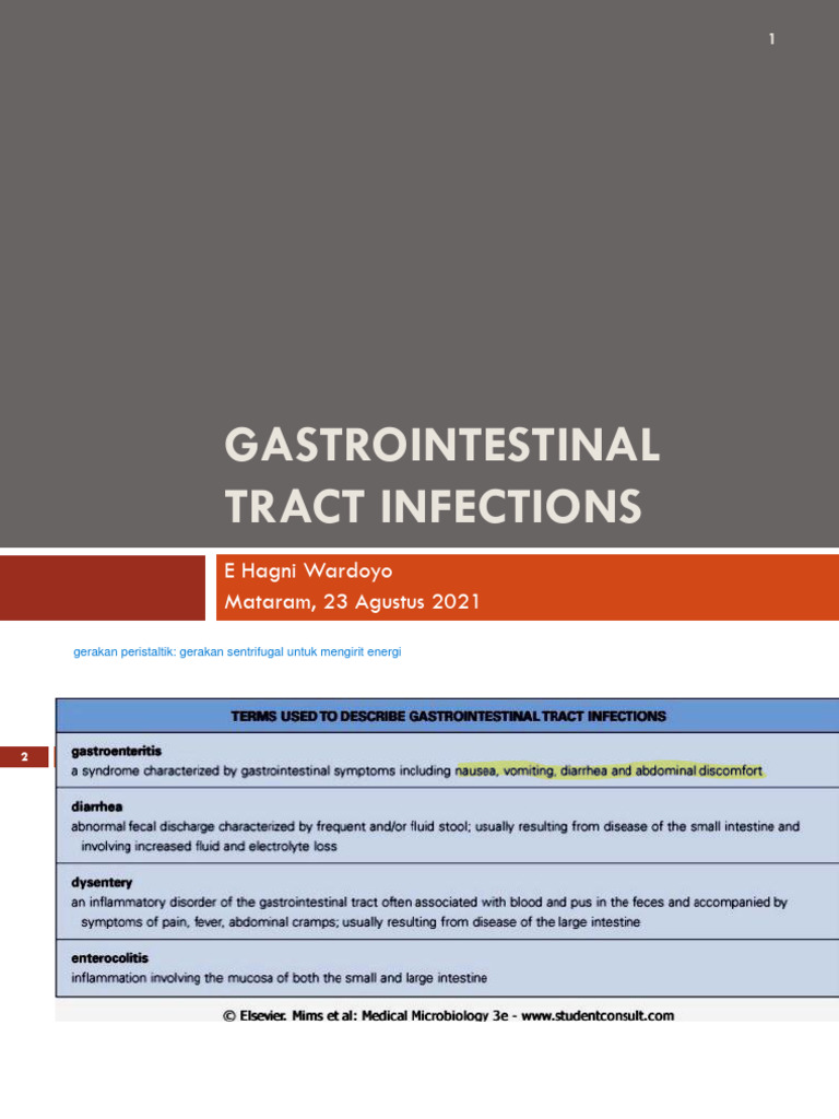 Gastrointestinal Tract Infections Overview | PDF | Cholera | Diseases ...