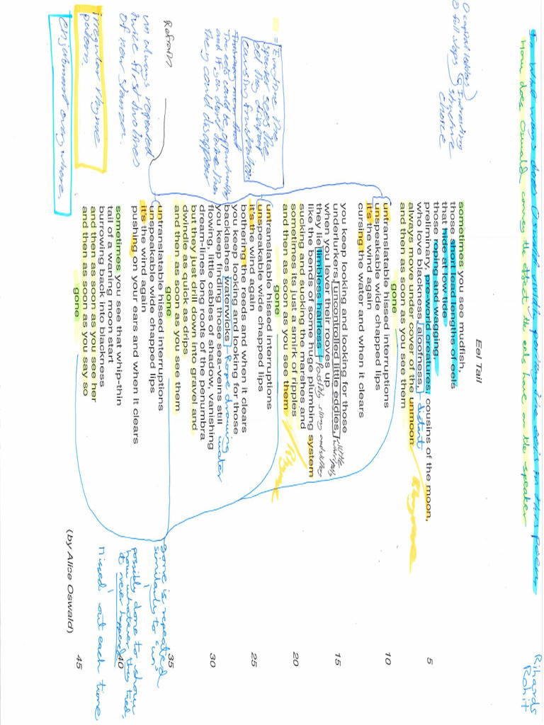 'Eel Tail' Group Annotations | PDF