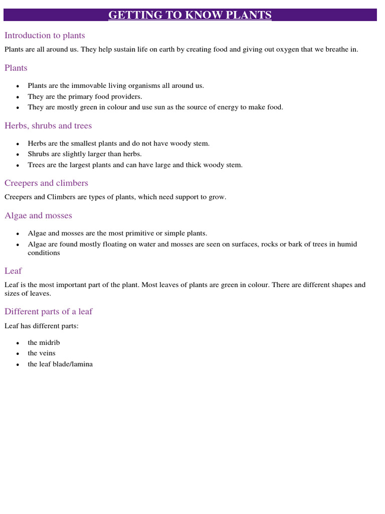 Getting To Know Plants | PDF | Leaf | Flowers