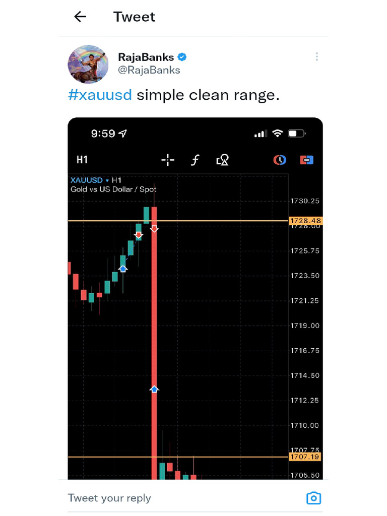 Raja's Twitter Trades | PDF