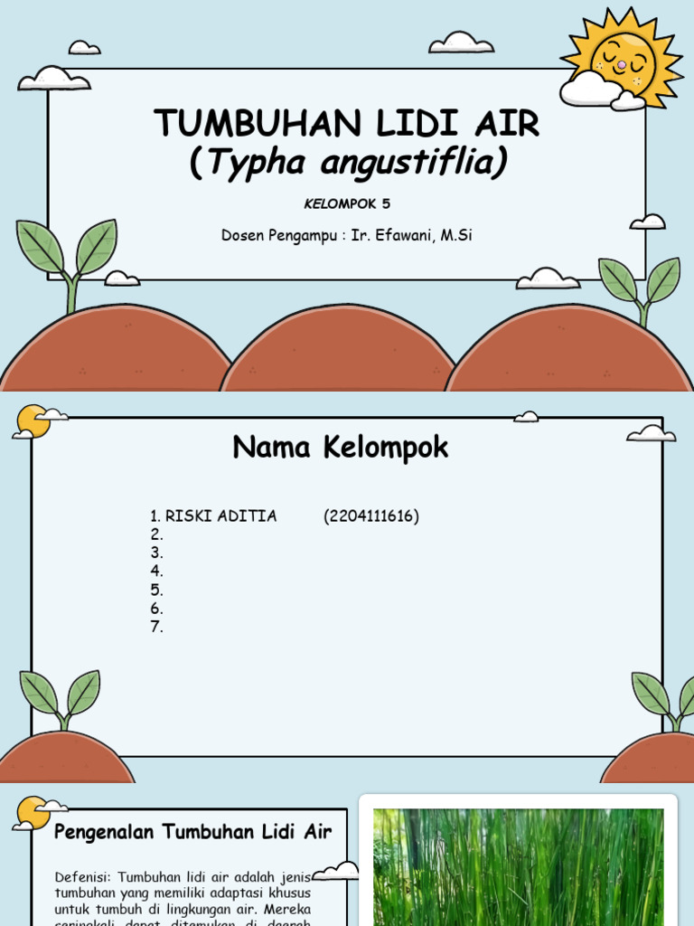 Tumbuhan Lidi Air | PDF