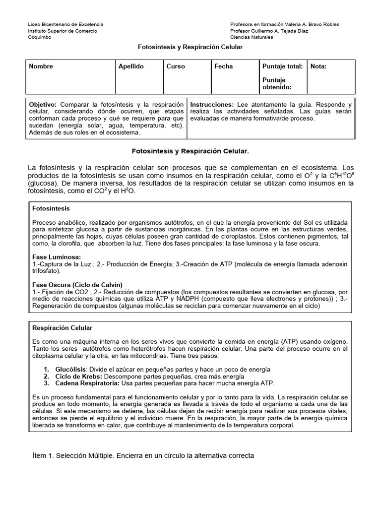 Guía para El Estudiante Fotosisnteiss y Respiración Celular | PDF ...