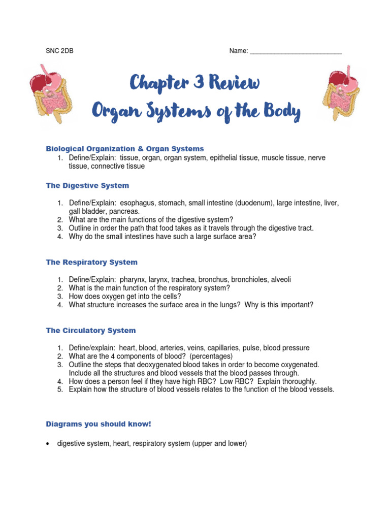 Chapter 3 Review | PDF | Wellness Chapter 3 Review | PDF | Wellness