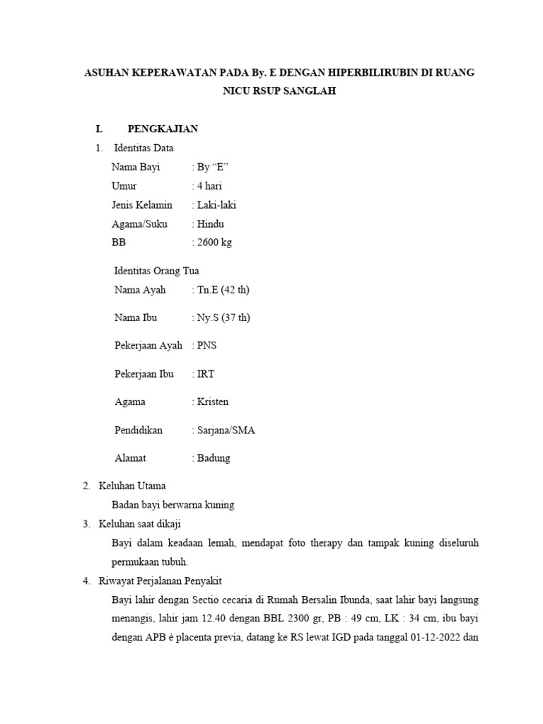 ASKEP PADA BAYI HIPERBILIRUBIN Fix | PDF | Pengembangan Diri | Kesehatan Holistik