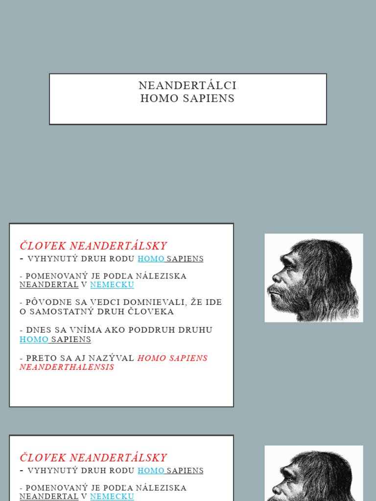 Neandertálci | PDF