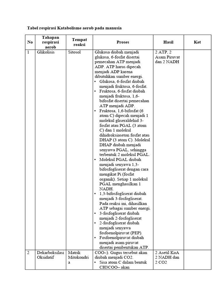 Tabel Tahap Respirasi Aerob Manusia | PDF