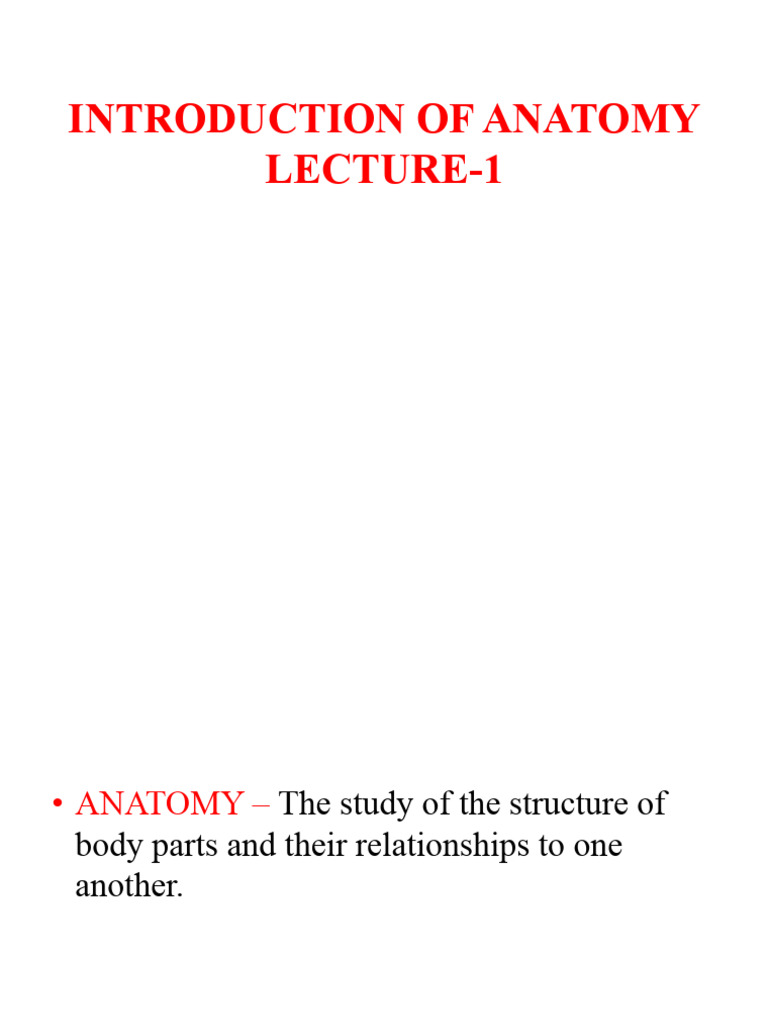 Anatomy Overview: Male Body Structure | PDF | Human Body | Anatomical ...