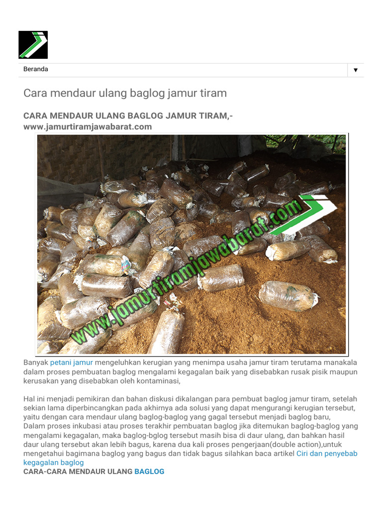 Daur Ulang Baglog Jamur Tirami | PDF