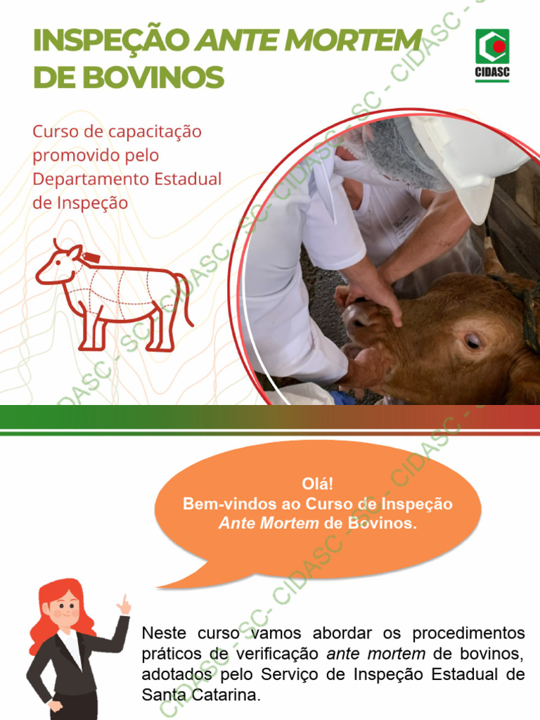 Módulo 1 Recepção de Bovinos Provenientes de SC - Watermark | PDF ...