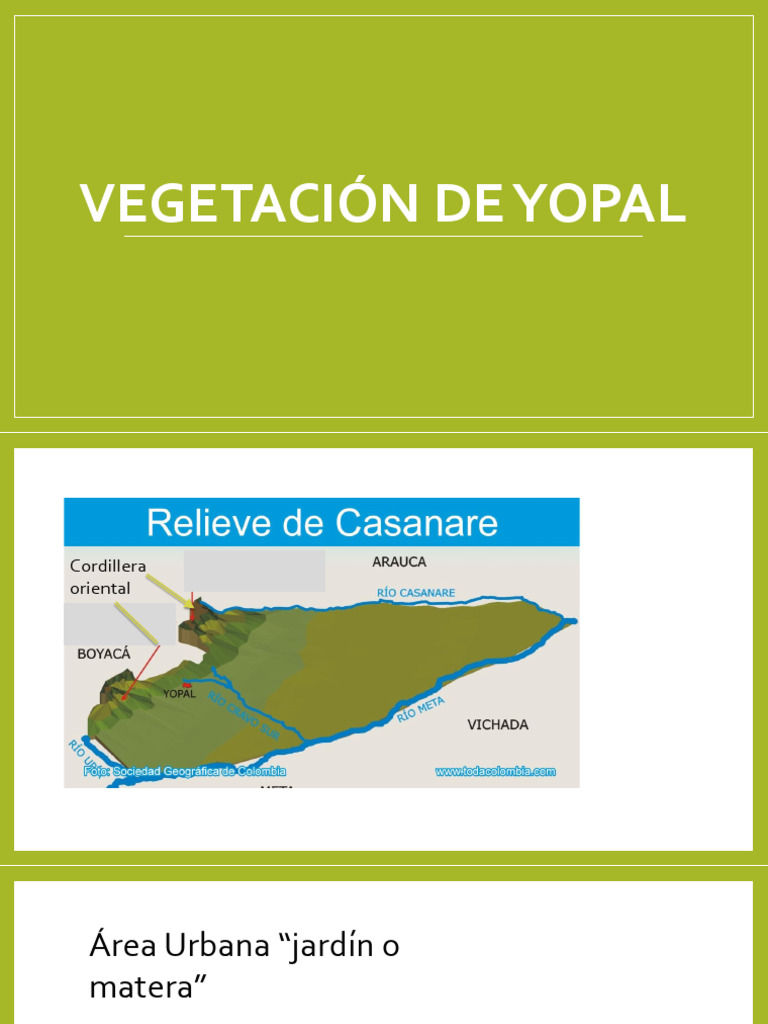 Vegetación de Yopal | PDF | Ciencia y matemáticas