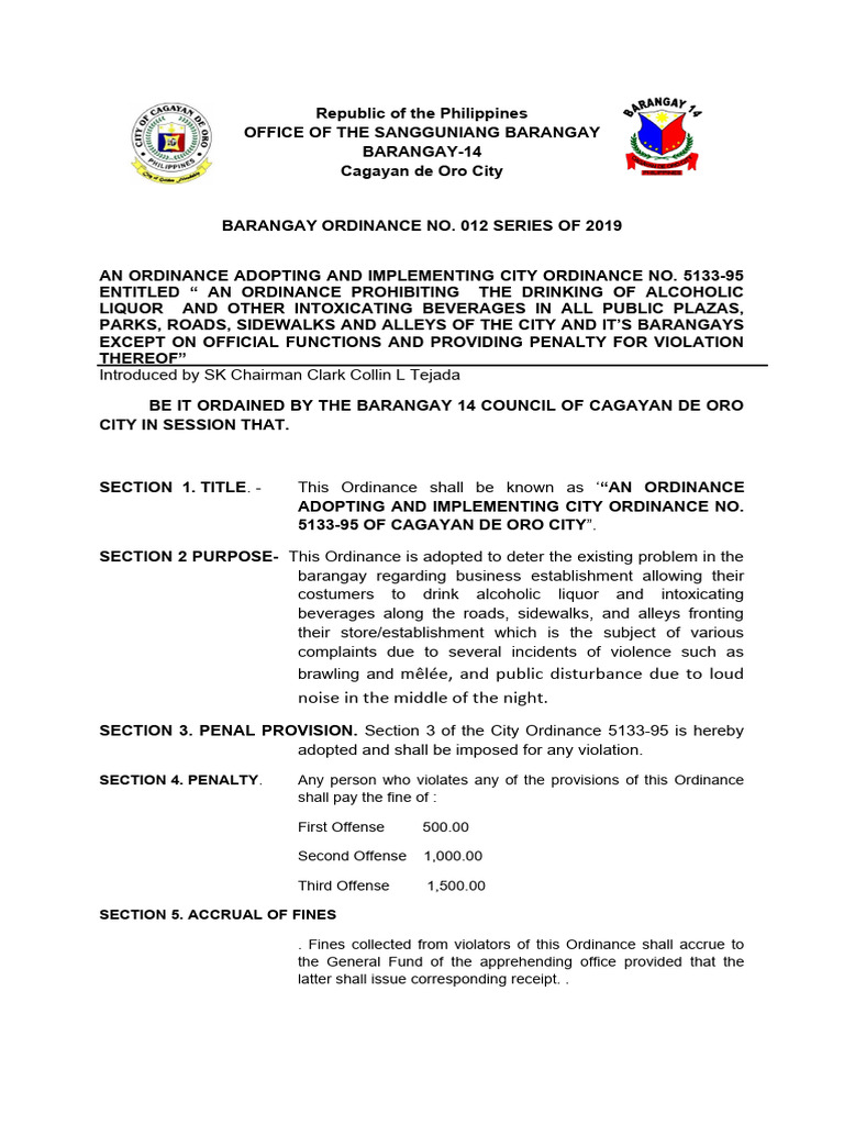 Barangay Ordinance on Public Drinking | PDF | Local Ordinance | Government