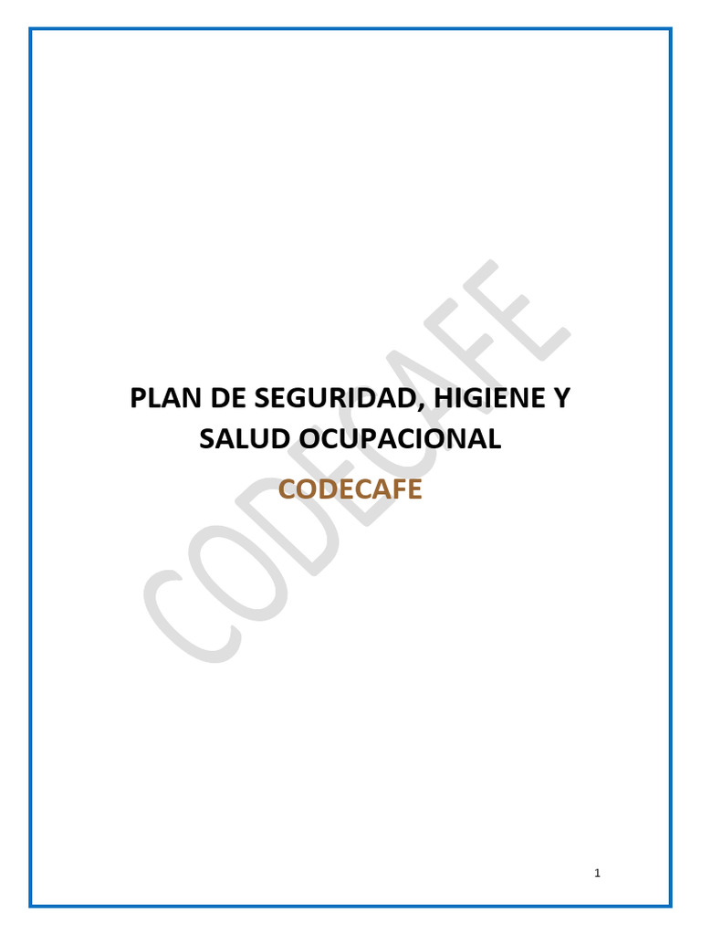 PLAN DE SEGURIDAD E HIGIENE | PDF | Primeros auxilios | Seguridad y salud ocupacional