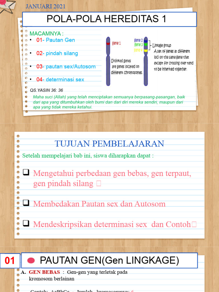Pola-Pola Hereditas New-1 | PDF