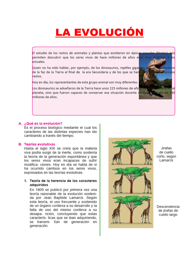 Teorías de la Evolución Biológica | PDF | Evolución | Charles Darwin