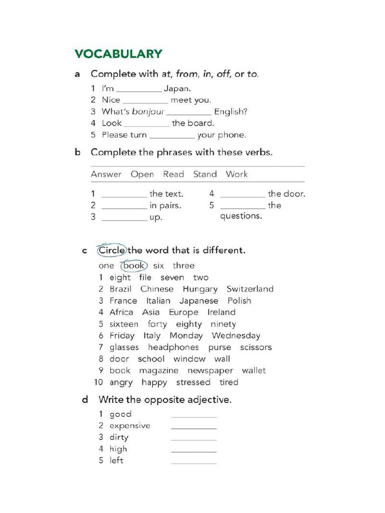 Vocabulary Exercises | PDF