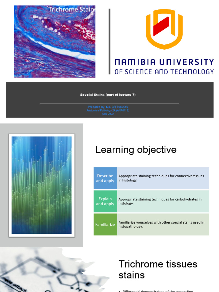 Special Stains | Download Free PDF | Staining | Fixation (Histology)