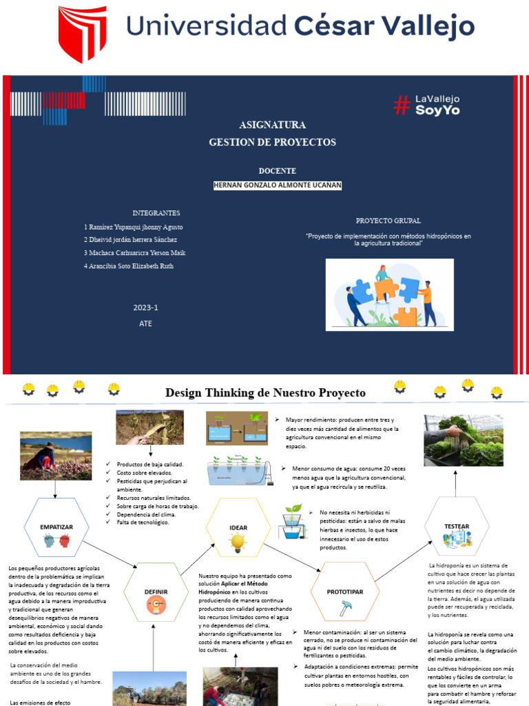Sesion 2 - Trabajo - Design Thinking | PDF | Agricultura | Hidroponia