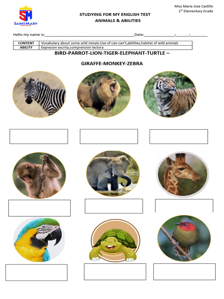 Animals and Their Abilities Chart | PDF