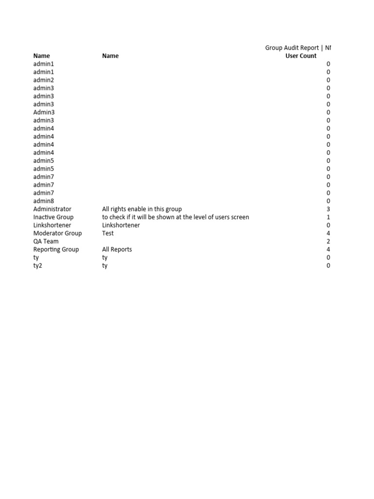 Group Audit Report NMFLO | PDF | Computing