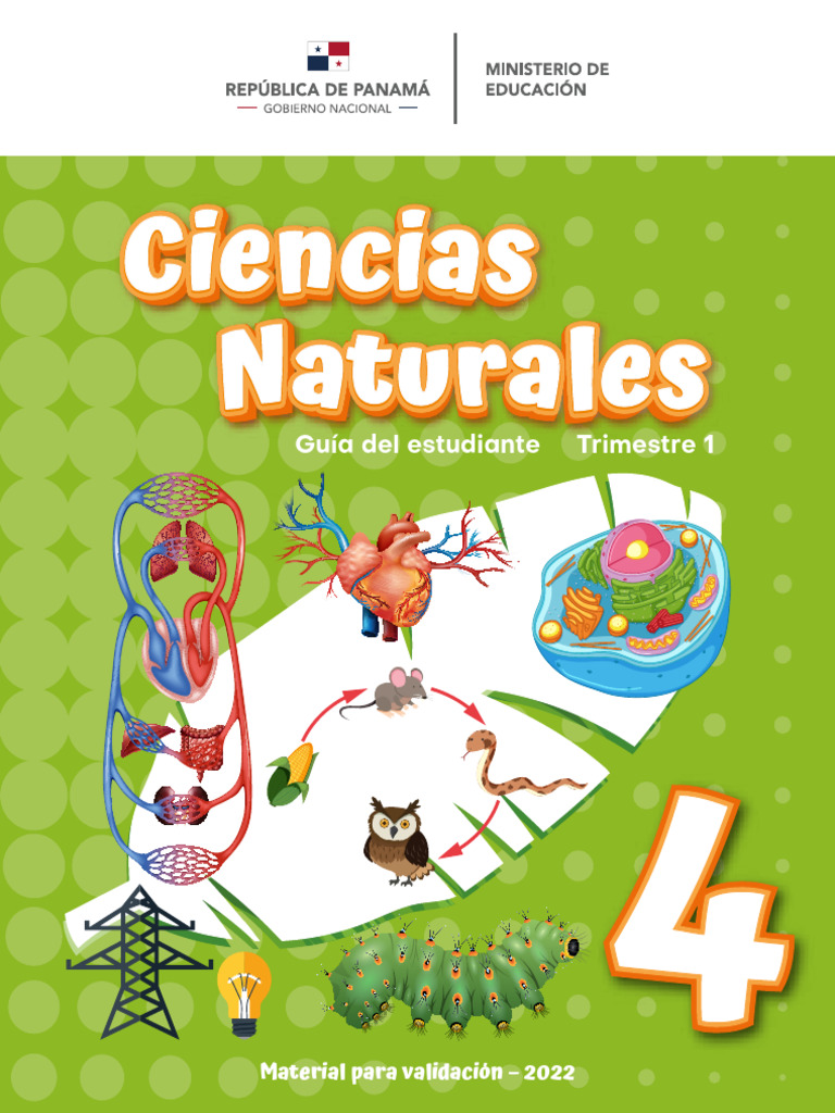 Guía de Ciencias Naturales 4° Grado 2022 | PDF | Vena | Sangre