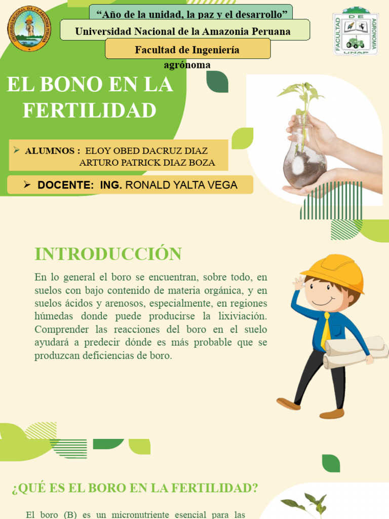 Importancia del Boro en Fertilidad Agrícola | PDF | Suelo | Plantas