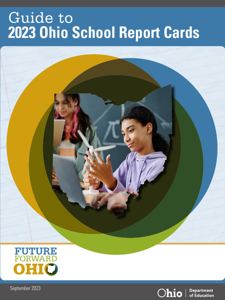 2023 Report Card Guide | PDF | Literacy | Effect Size