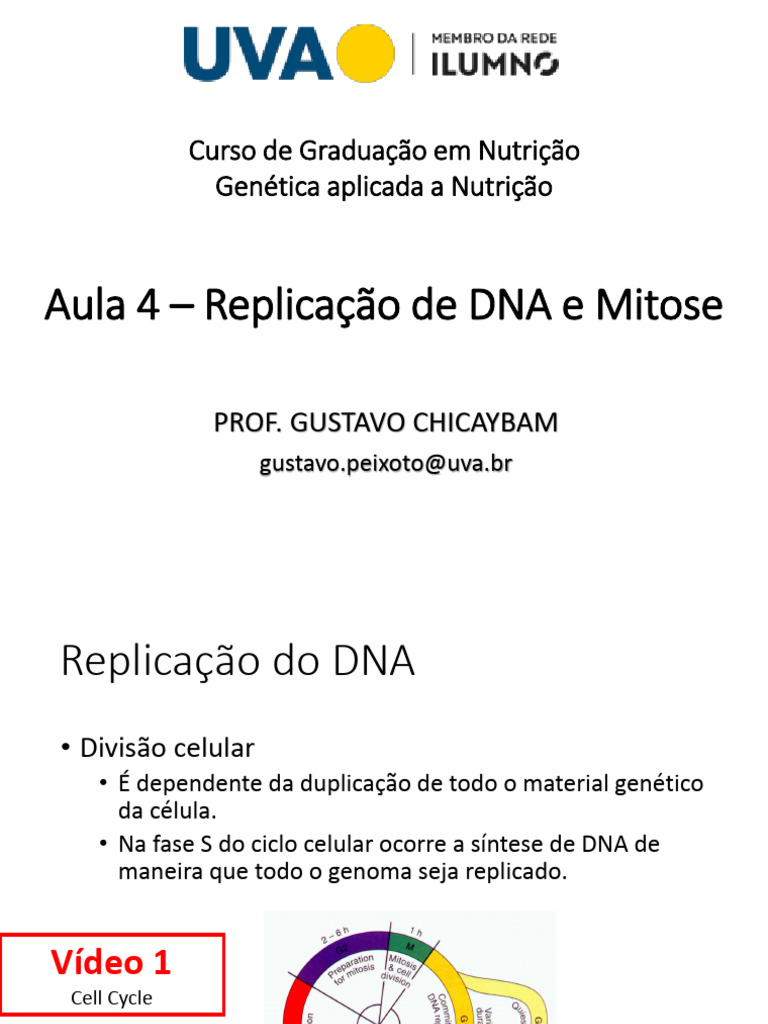 Aula 4 Replicação De Dna E Mitose Pdf Replicação De Dna Mitose