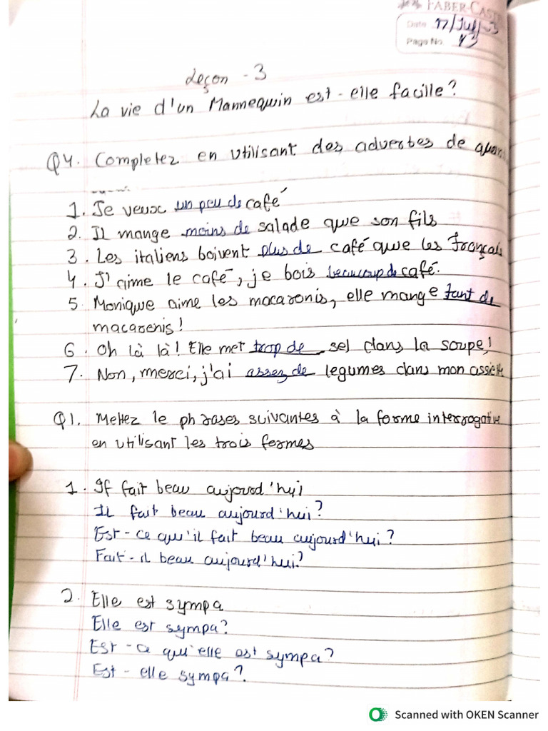 class 8 French leçon 3 | PDF