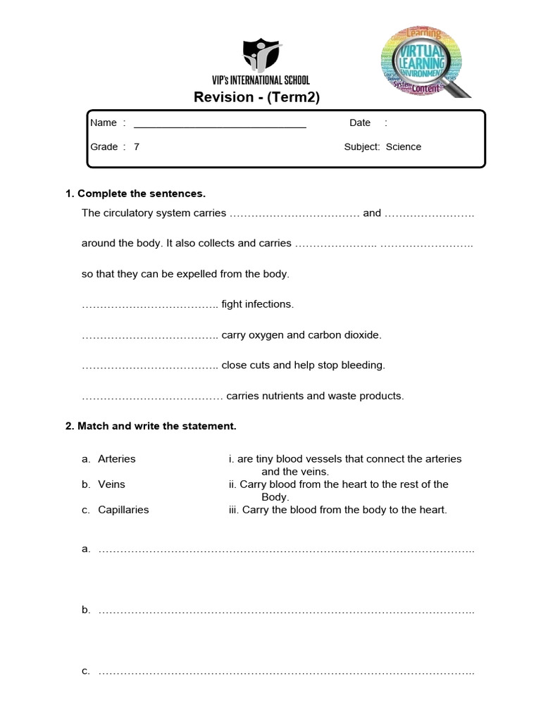 Grade 7 Science Revision | PDF | Artery | Mixture