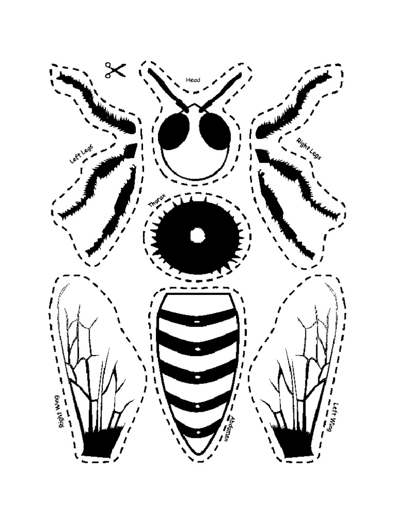 Abeja Pdf