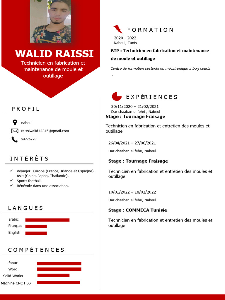 Walid CV | PDF