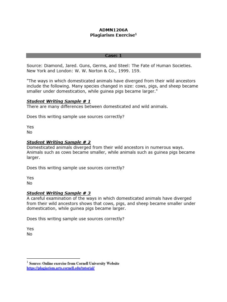 Avoiding Plagiarism Practice Activity | PDF | Michelangelo