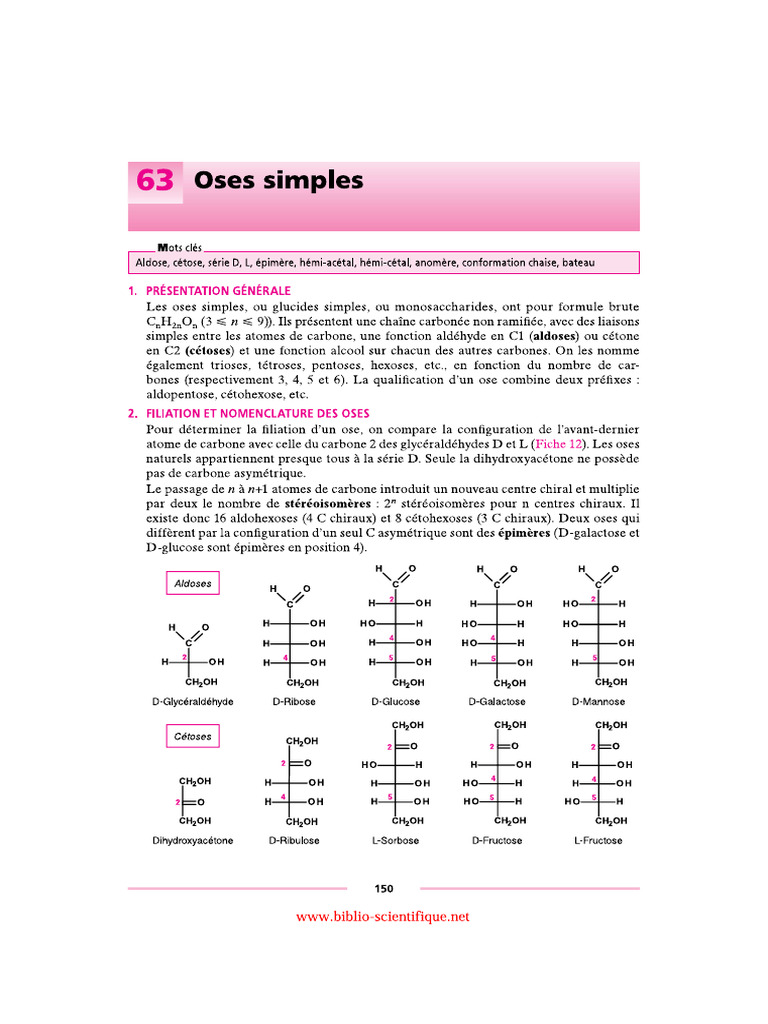 Les Glucides 2 | PDF
