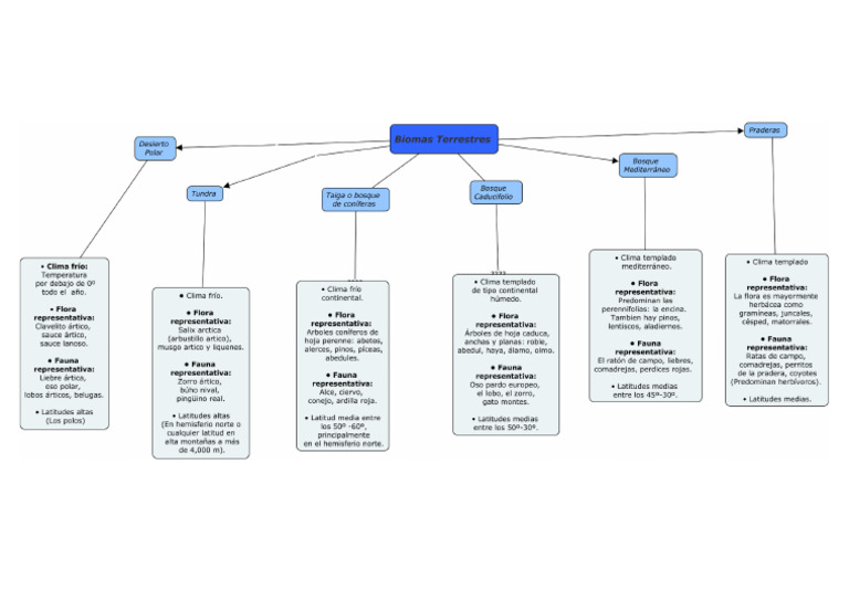 Mapa Biomas Terrestres 1 (Ecologia General BIO-2024) | PDF