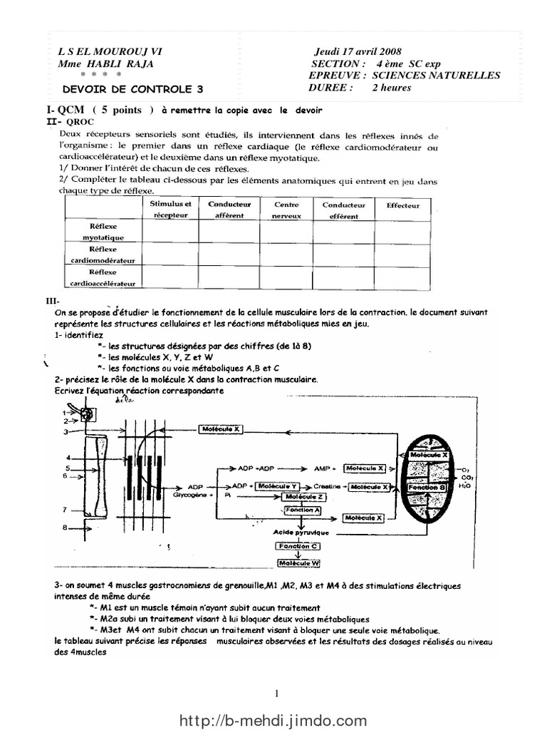 Devoir de Contrôle N°3 (Avec Correction) - SVT - 4ème SC Exp (2007-2008) Mme Habli Raja | PDF ...