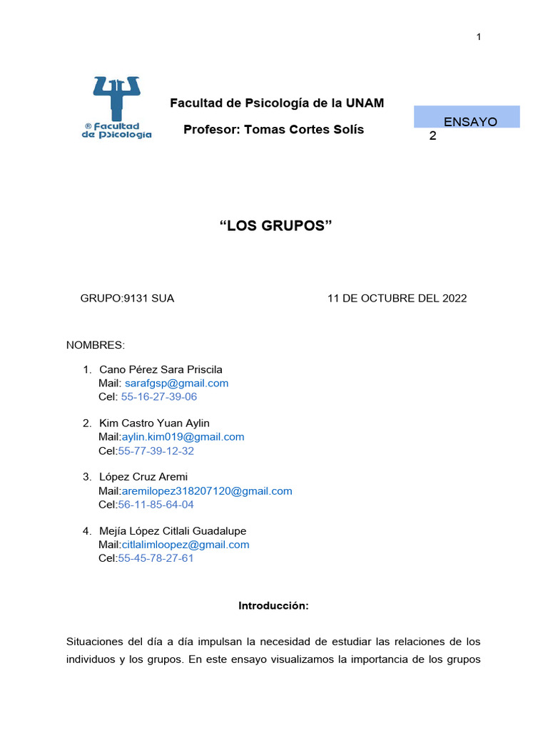 E2. Equipo | PDF | Liderazgo | Grupo social