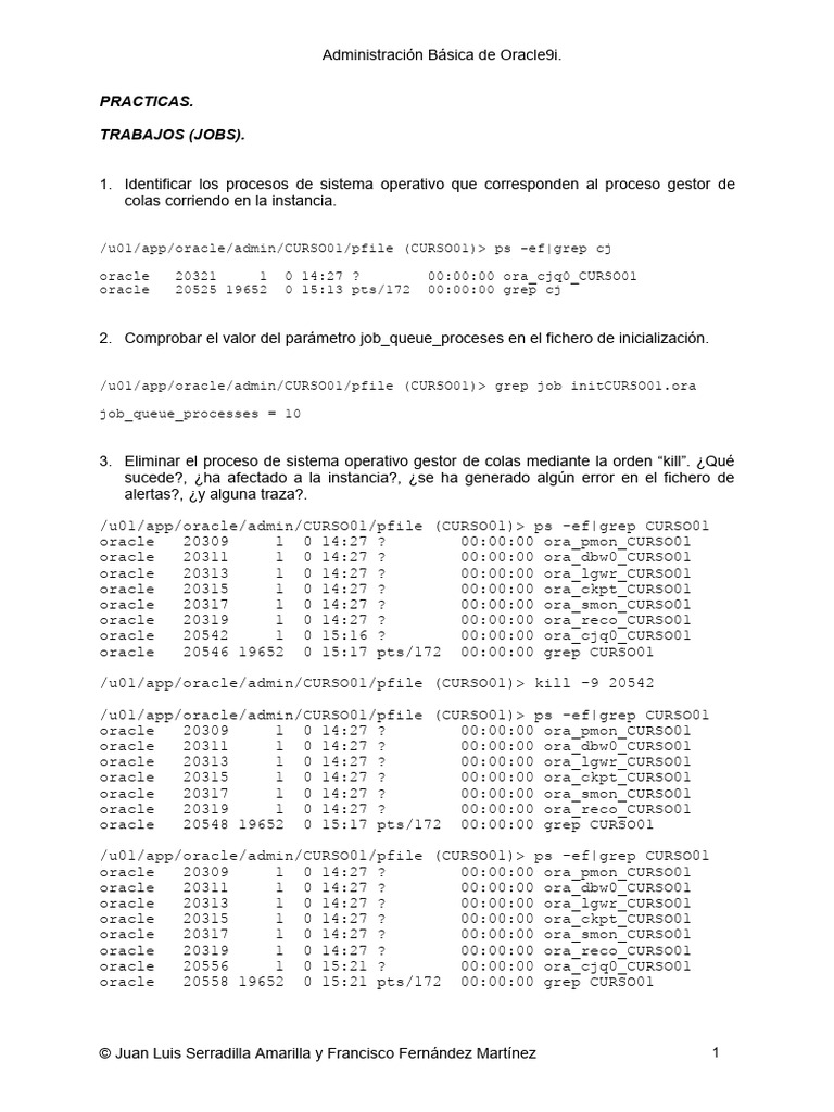 Practicas JOBS Tema8 ORACLE9I | PDF | SQL | Pl / Sql