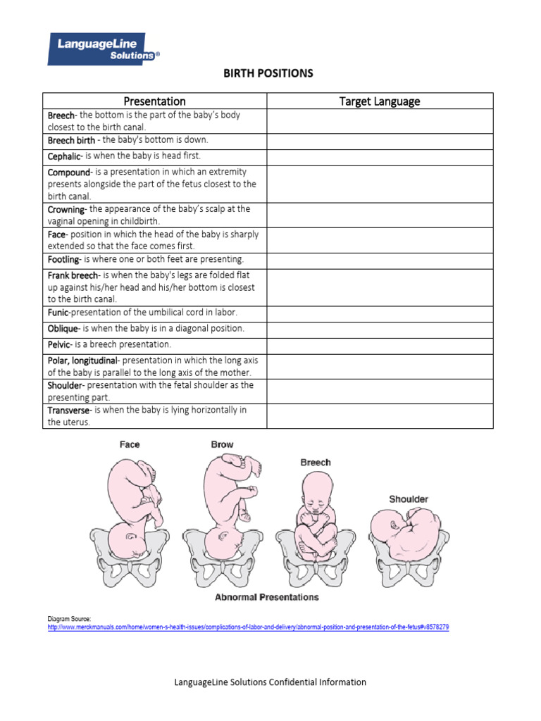 Birth Positions Osl | PDF