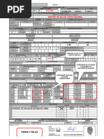Formato Anexo 14 Essalud | PDF