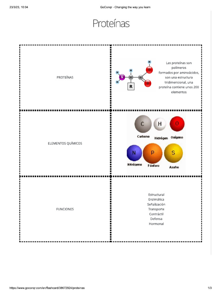 Fichas proteínas | PDF